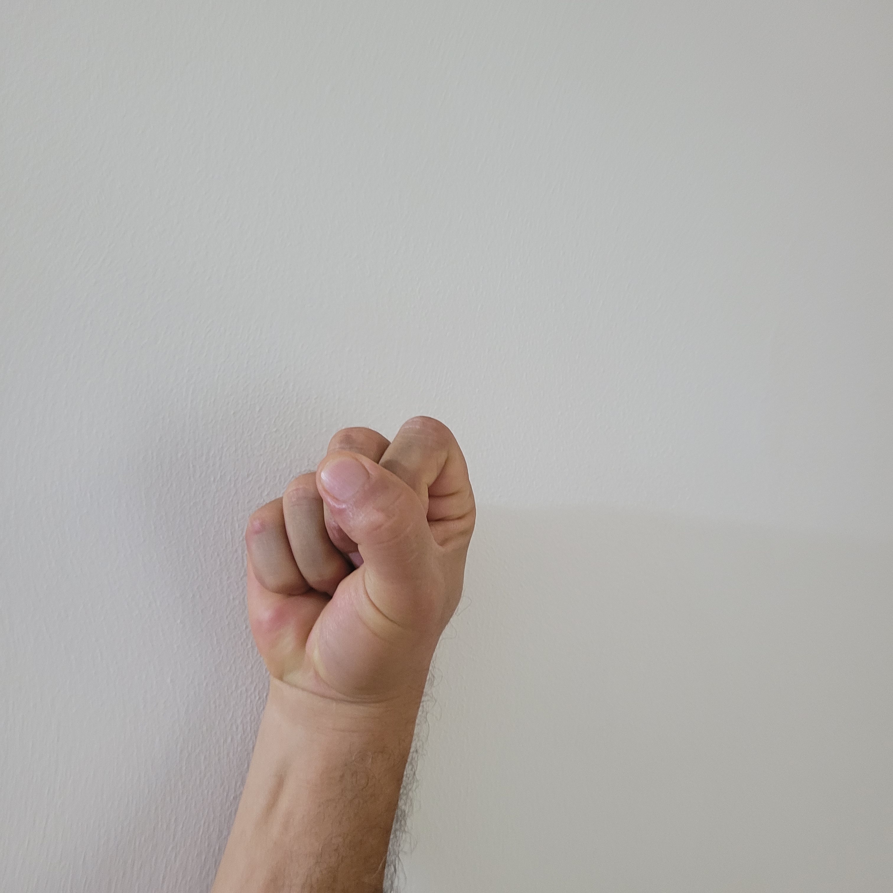 hands_gestures Classification Model by danneir