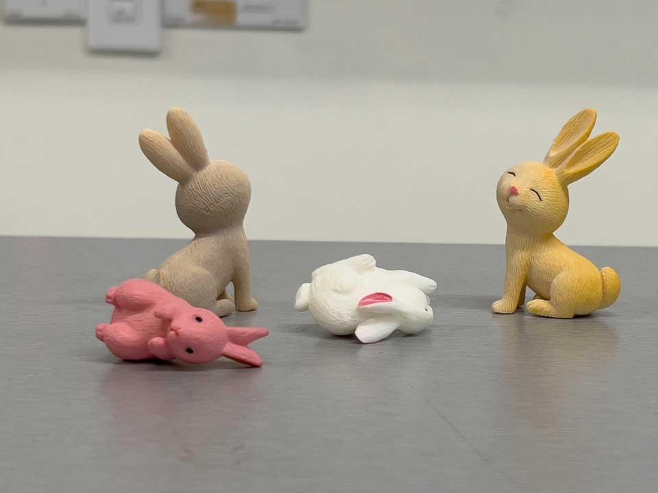 Human and Pets Object Detection Dataset by Human and Pets