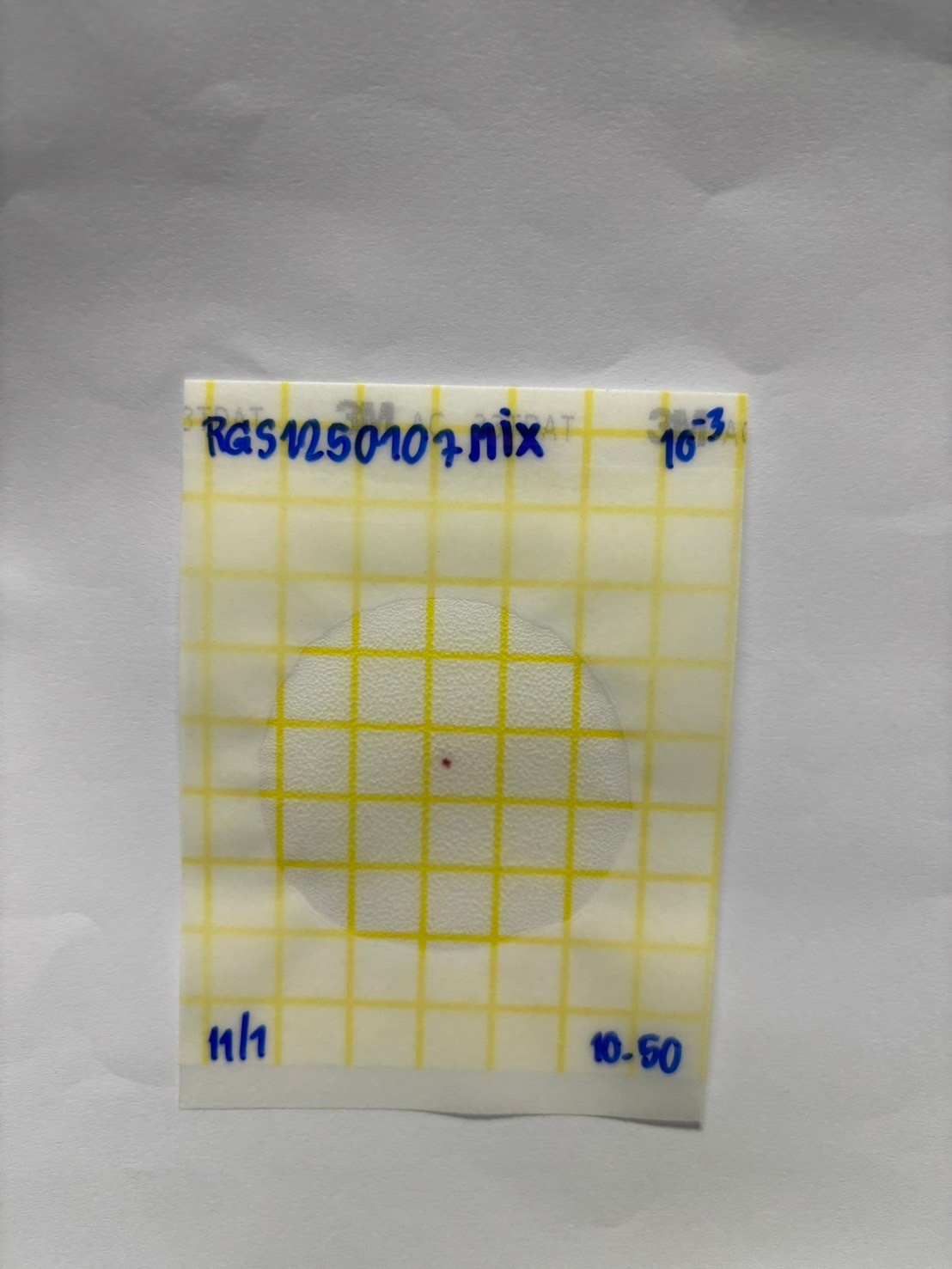 TPC - native tapioca starch Object Detection Dataset and Pre-Trained ...