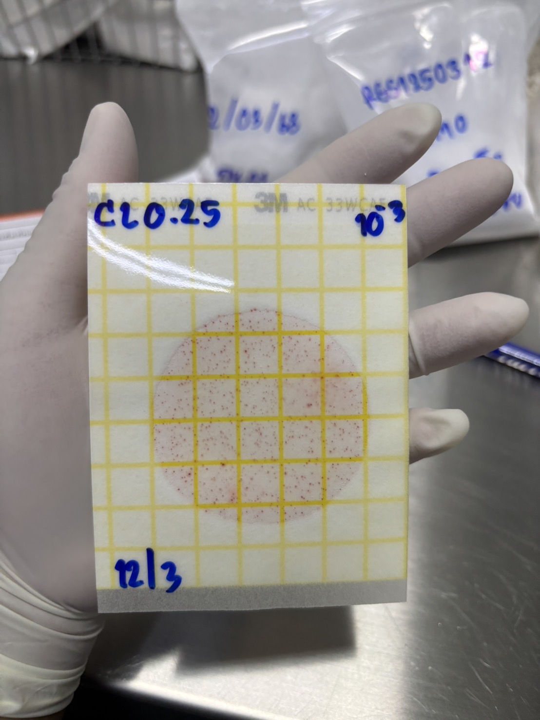 Ratchasima Green Starch Co Ltd - Roboflow Universe