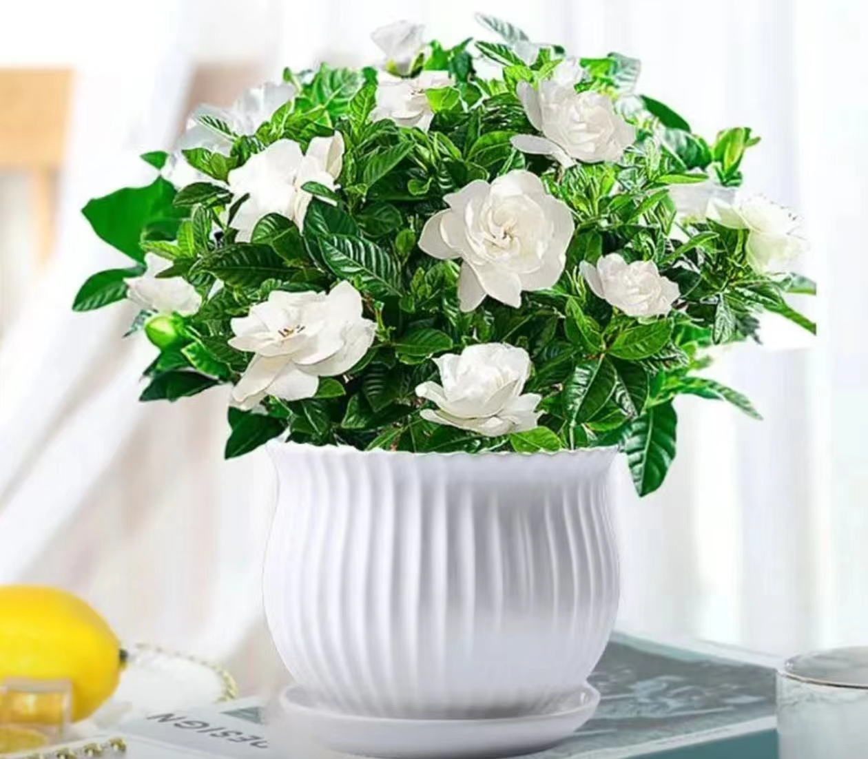 flower Object Detection Model by project