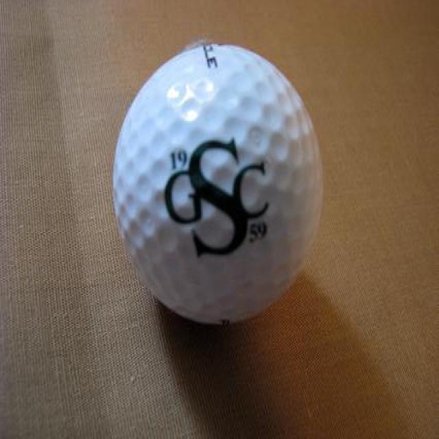 Golf ball Object Detection Model by DemoSpace