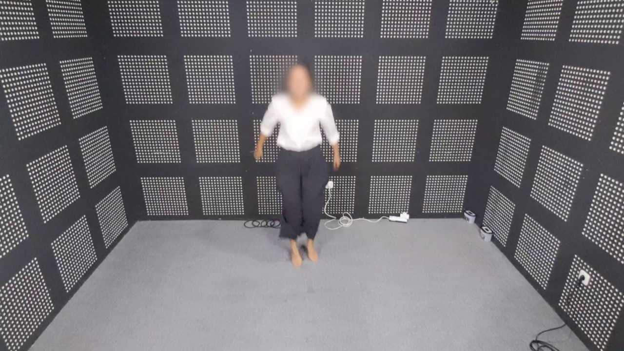 Motion Matters Classification Dataset by TDetD