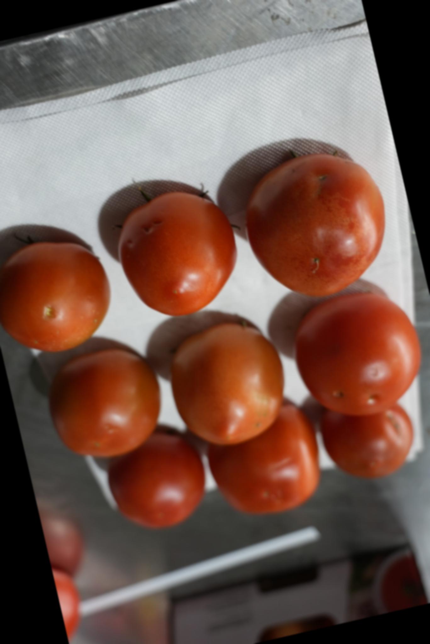 tomato Object Detection Dataset and Pre-Trained Model by dai-tran-van