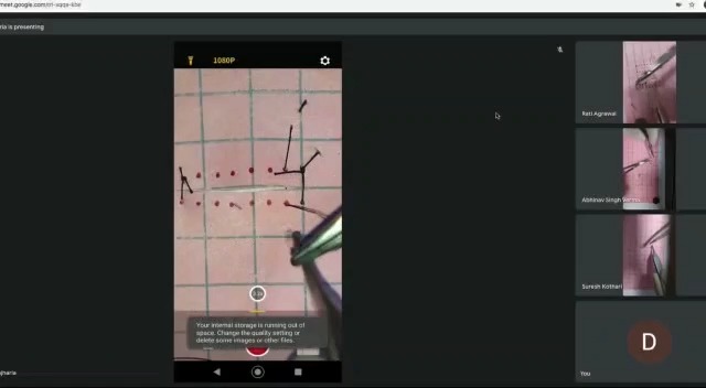 Stichis Final Instance Segmentation Dataset By Ljiet
