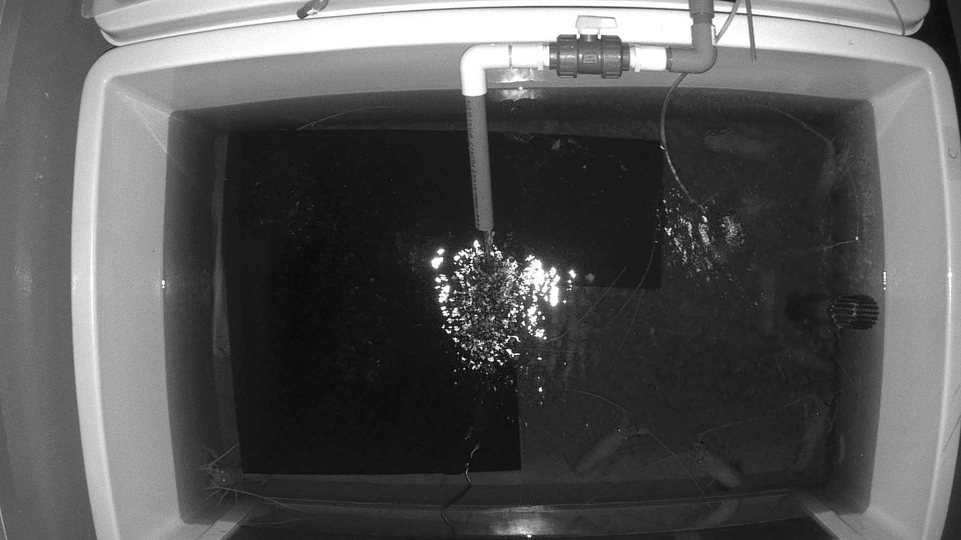 Spiny lobster Object Detection Dataset and Pre-Trained Model by Spiny ...