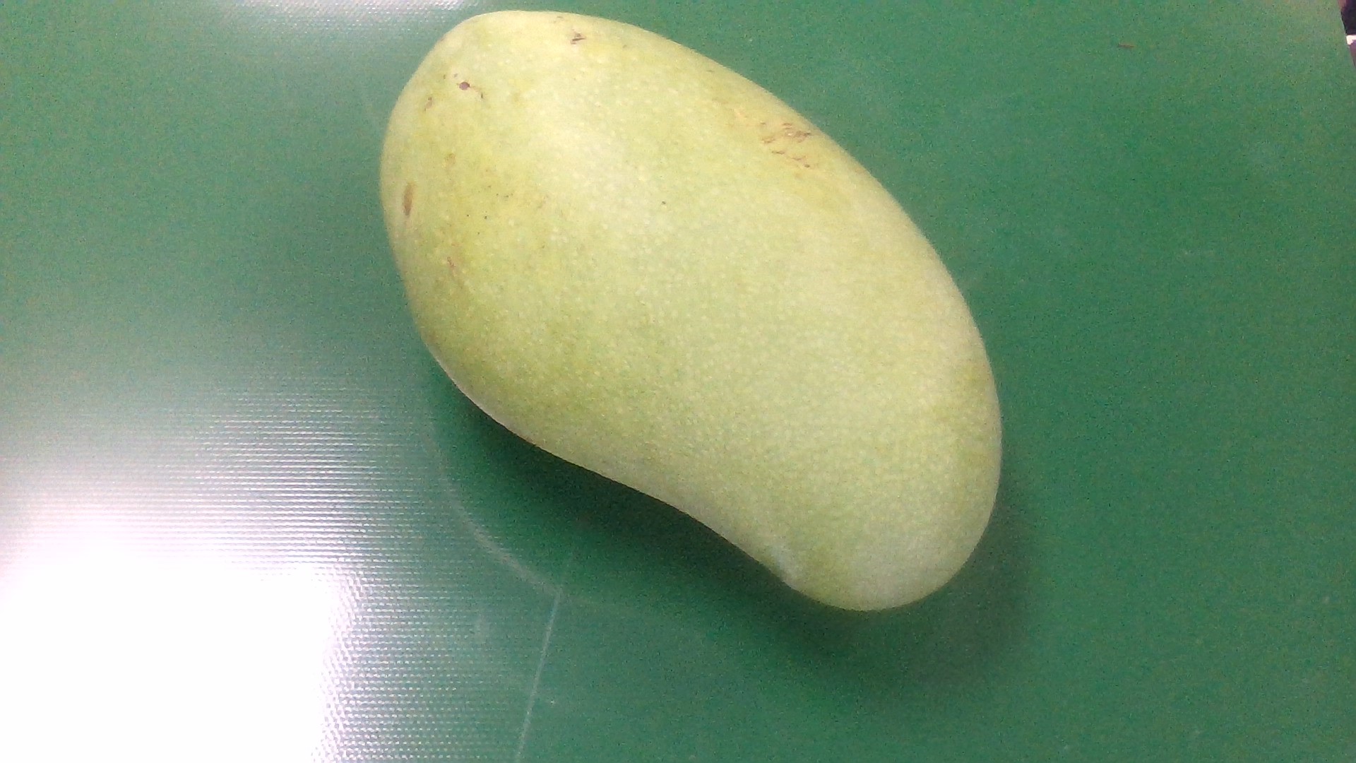 Mango Grading Object Detection Model By Western Mindanao State University