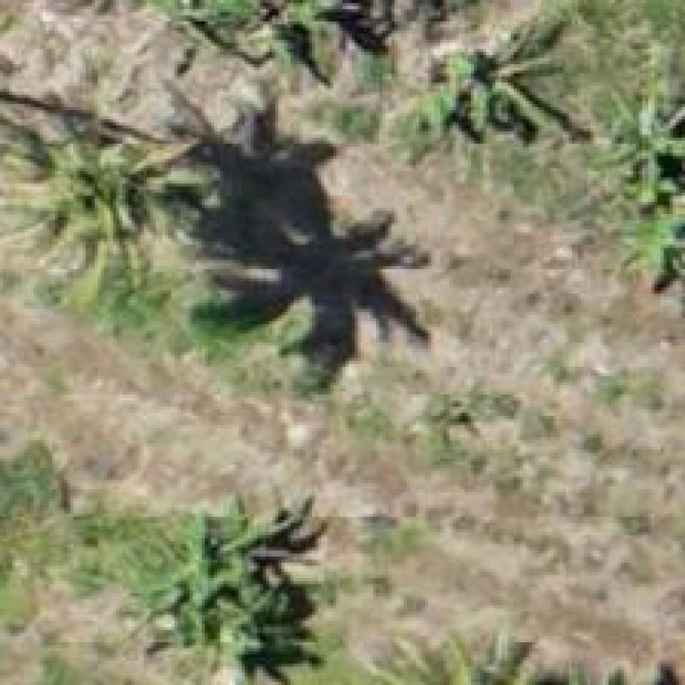 Yolo_test Object Detection Dataset by Ozza Dinata