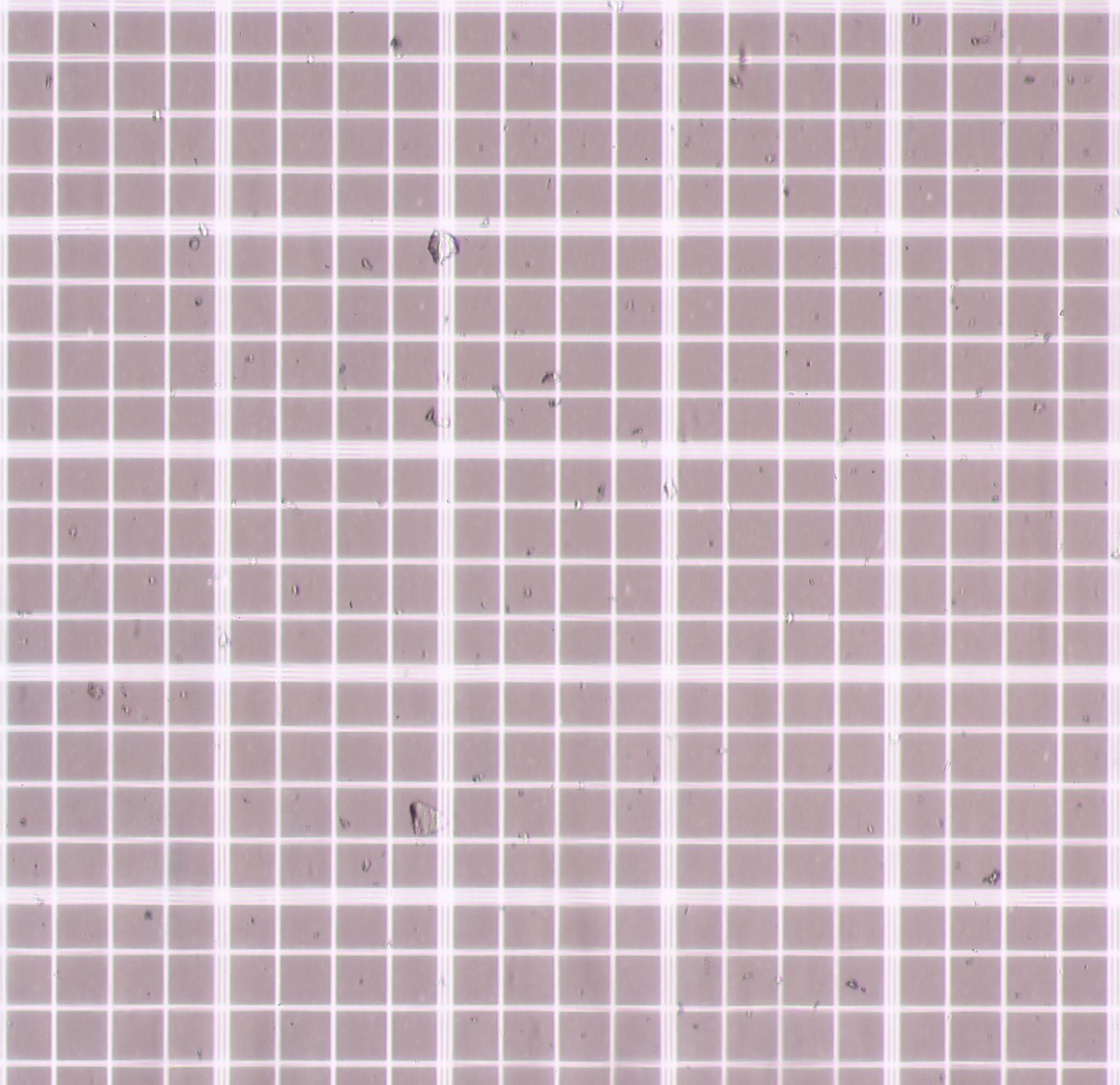 How to Use the ai-slurry-seed-v2 Object Detection API