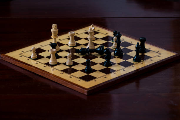 Chess Board DataSet Instance Segmentation Dataset by Maddo