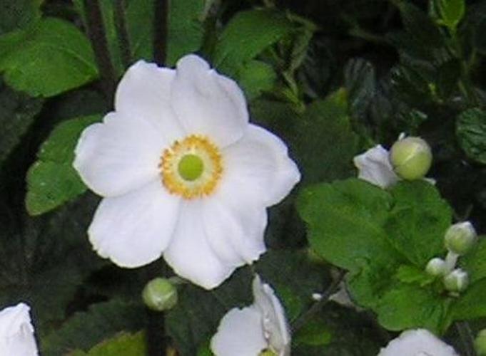 hello1 (hello1-kyt4u) - Roboflow Universe