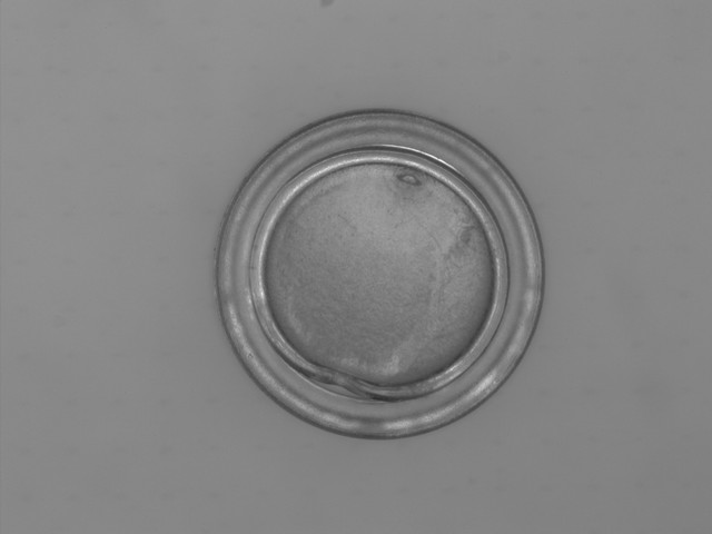 Caps-Defect-Detection Object Detection Dataset by ITI107