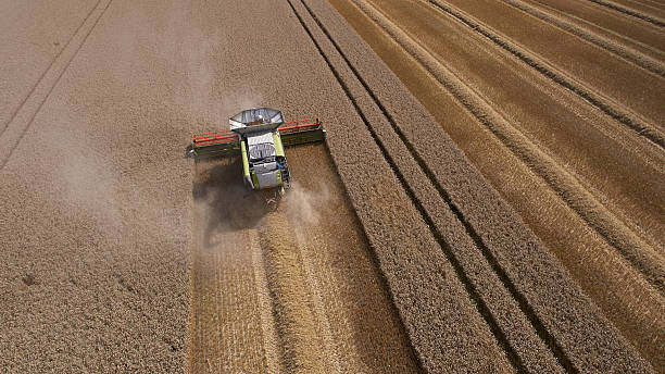 Ivan Slukin - Roboflow Universe