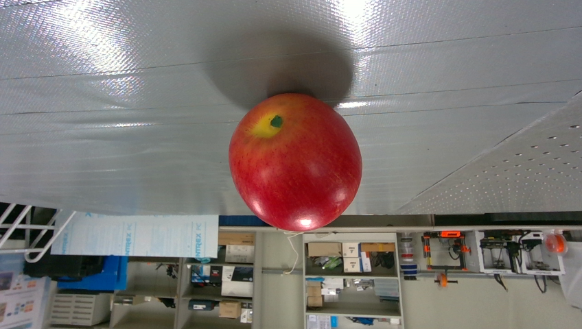 20240822_apple_val1 Instance Segmentation Dataset by 12