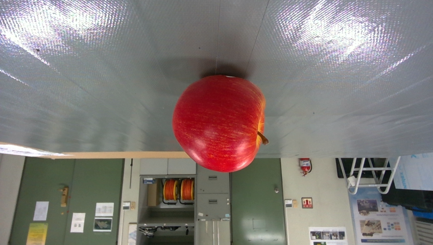 20240822_apple_train1 Instance Segmentation Dataset by 12