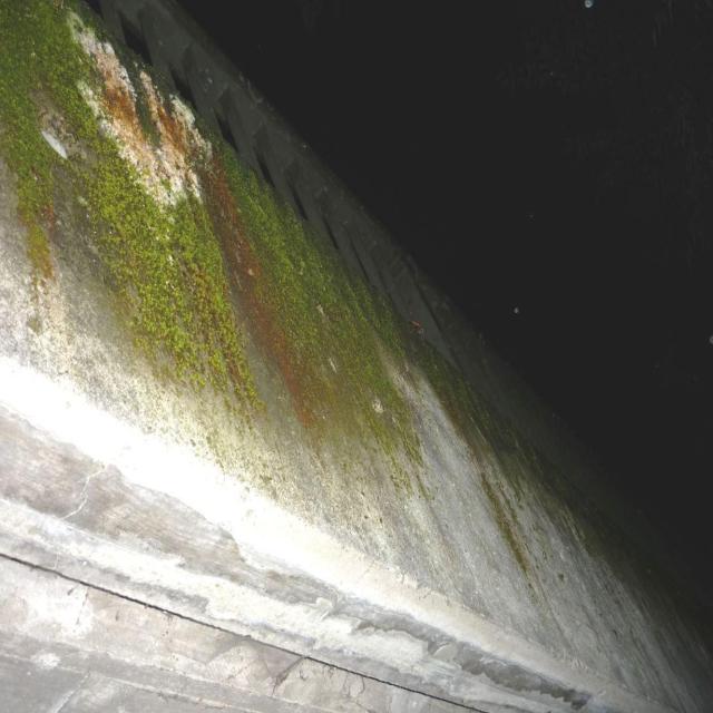 Crack-Spalling Dataset Object Detection Dataset by AI Thesis