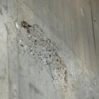 AI Thesis (ai-thesis-s3bl1) - Roboflow Universe