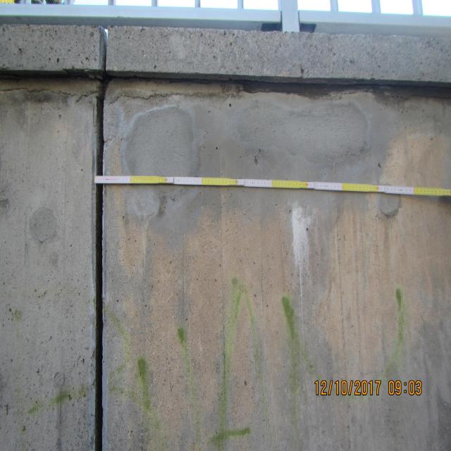 Crack-Efflorescence Object Detection Dataset by AI Thesis