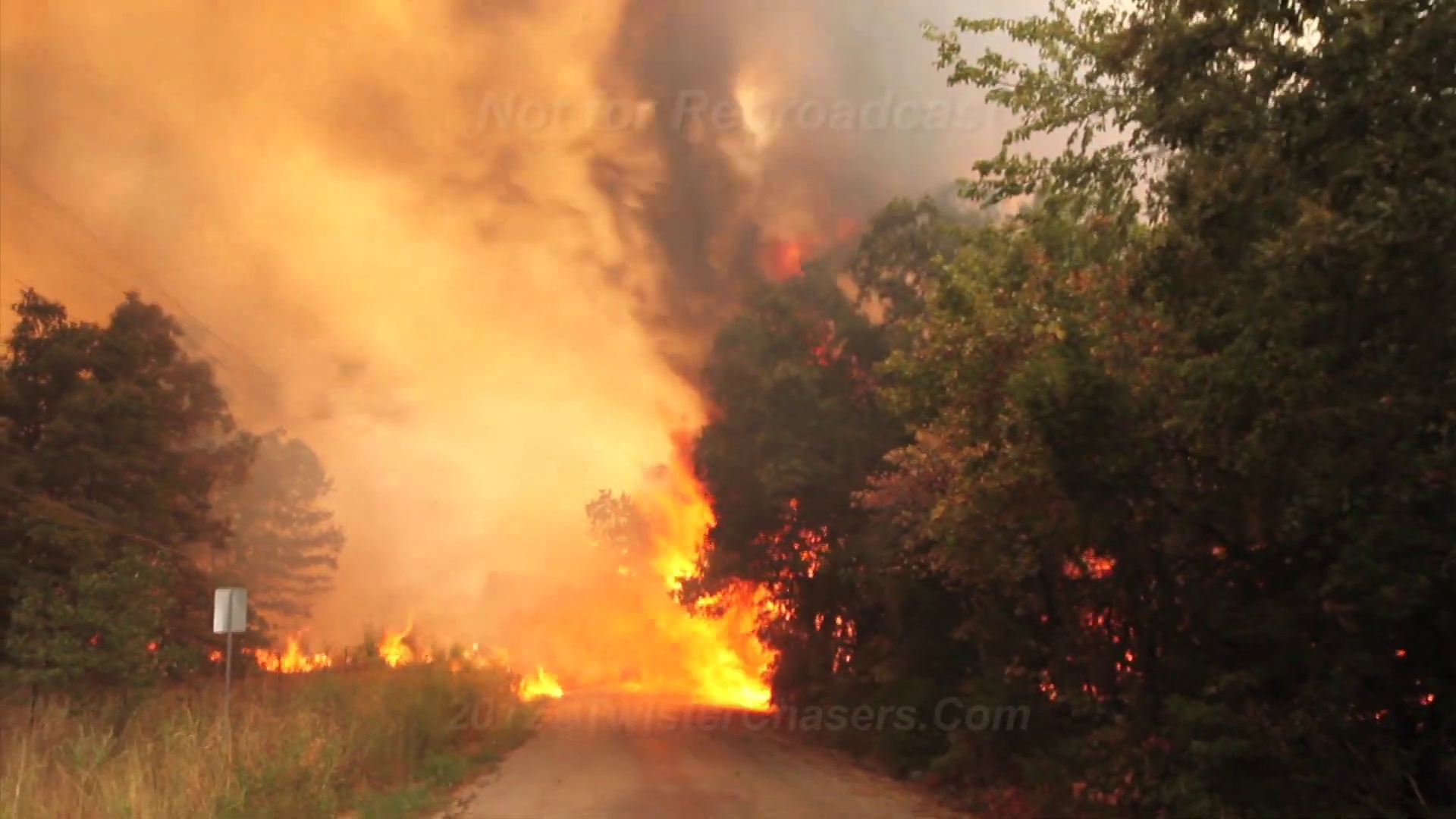 fire and smoke detection Object Detection Model by dhruv rana