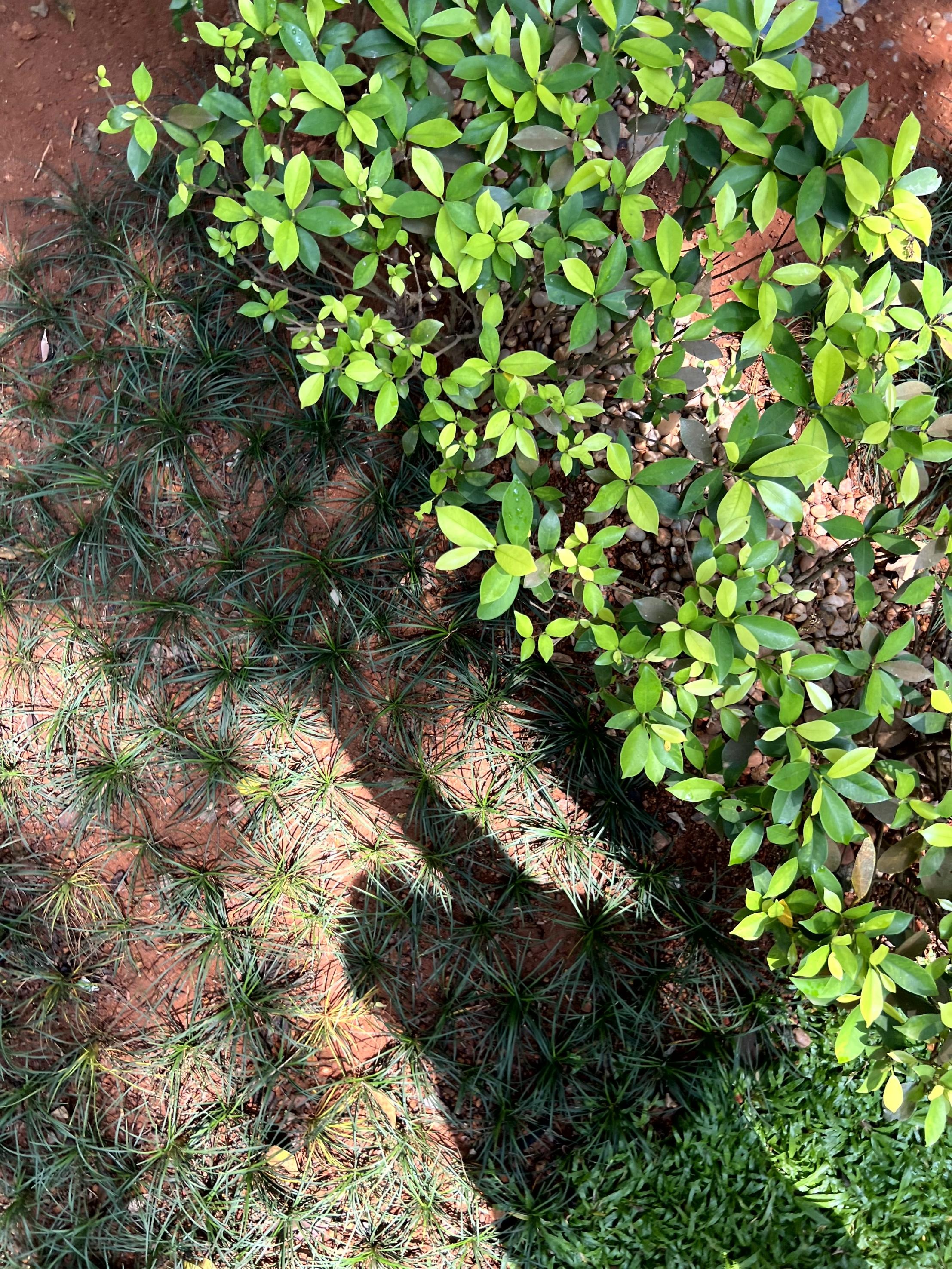 Image Segmentation (image-segmentation-im76x) - Roboflow Universe