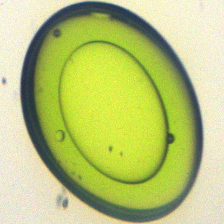 DW_CLASSIFY Classification Dataset by RodsInspection