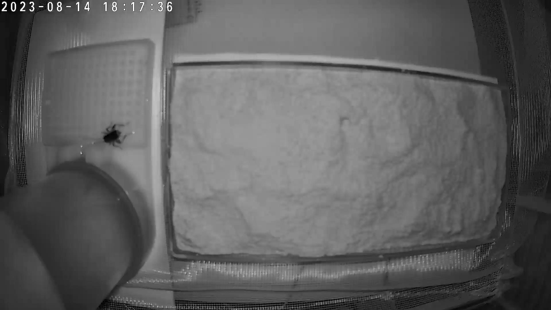 EXP3-DARK-STAGE3 Object Detection Model by sasaki