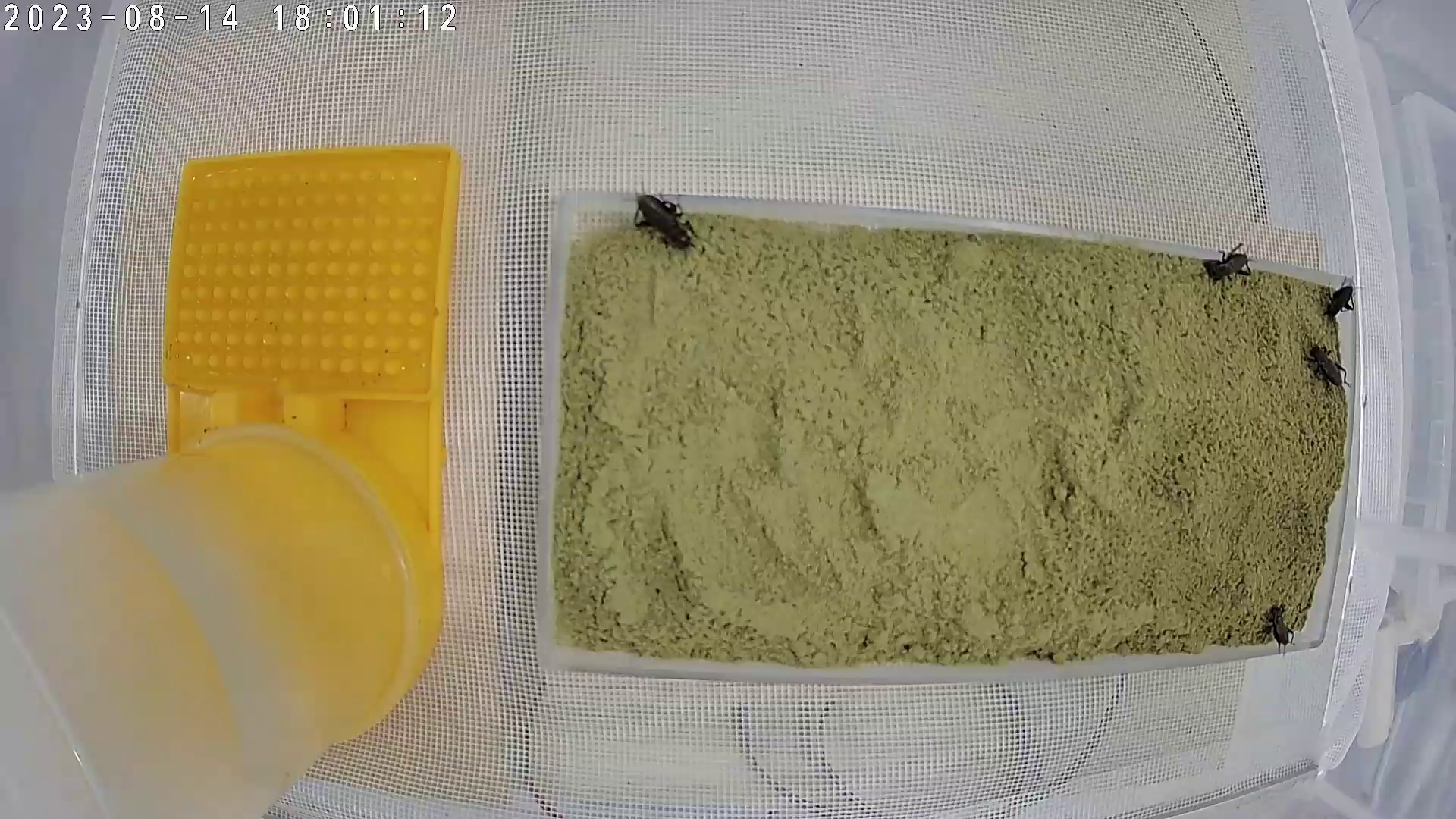 EXP3-LIGHT-STAGE3 Object Detection Dataset by sasaki