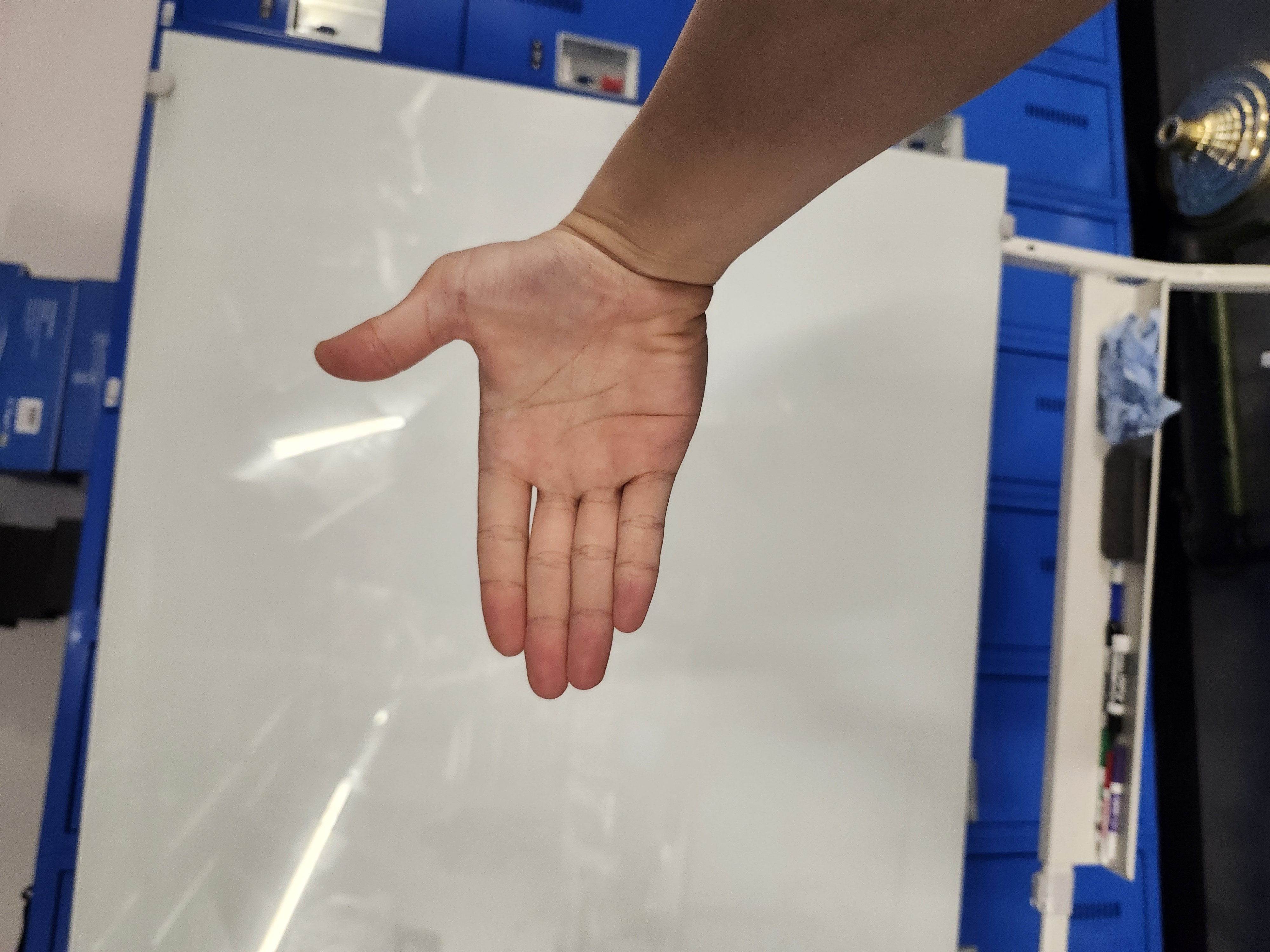 Rock, Paper, Scissors Object Detection Model by rzhang39