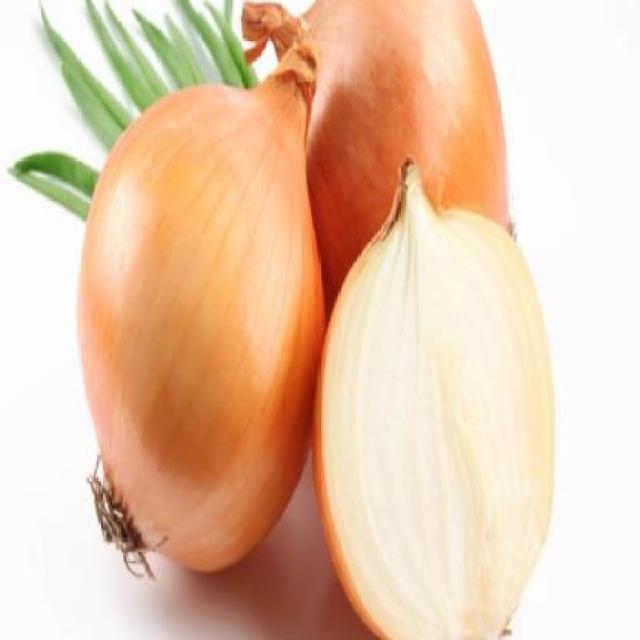 yolo Object Detection Dataset and Pre-Trained Model by unaugmented