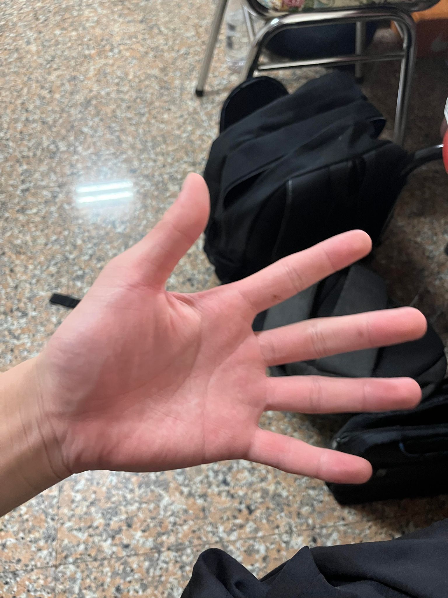 Gesture Object Detection Dataset By Project Sedal