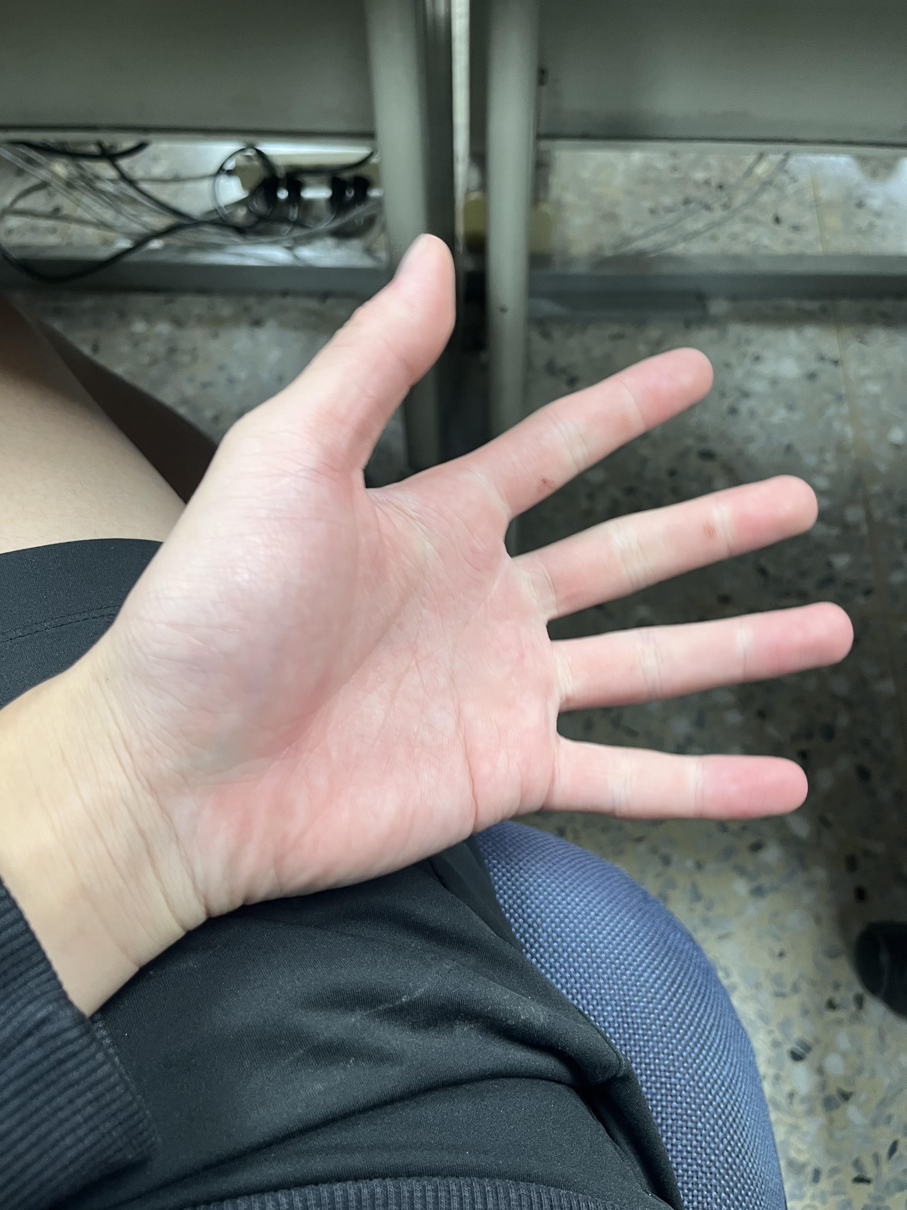 Gesture Object Detection Dataset By Project Sedal