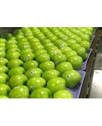 fruit-abo Object Detection Dataset by Fruitapplebananaorange