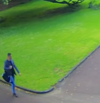 Human Detection Instance Segmentation Dataset and Pre-Trained Model by Validate