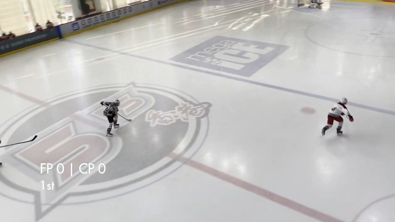 Hockey Players Object Detection Model by Sportobal