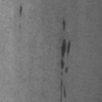 Pipe Analysis Instance Segmentation Dataset and Pre-Trained Model by BoB