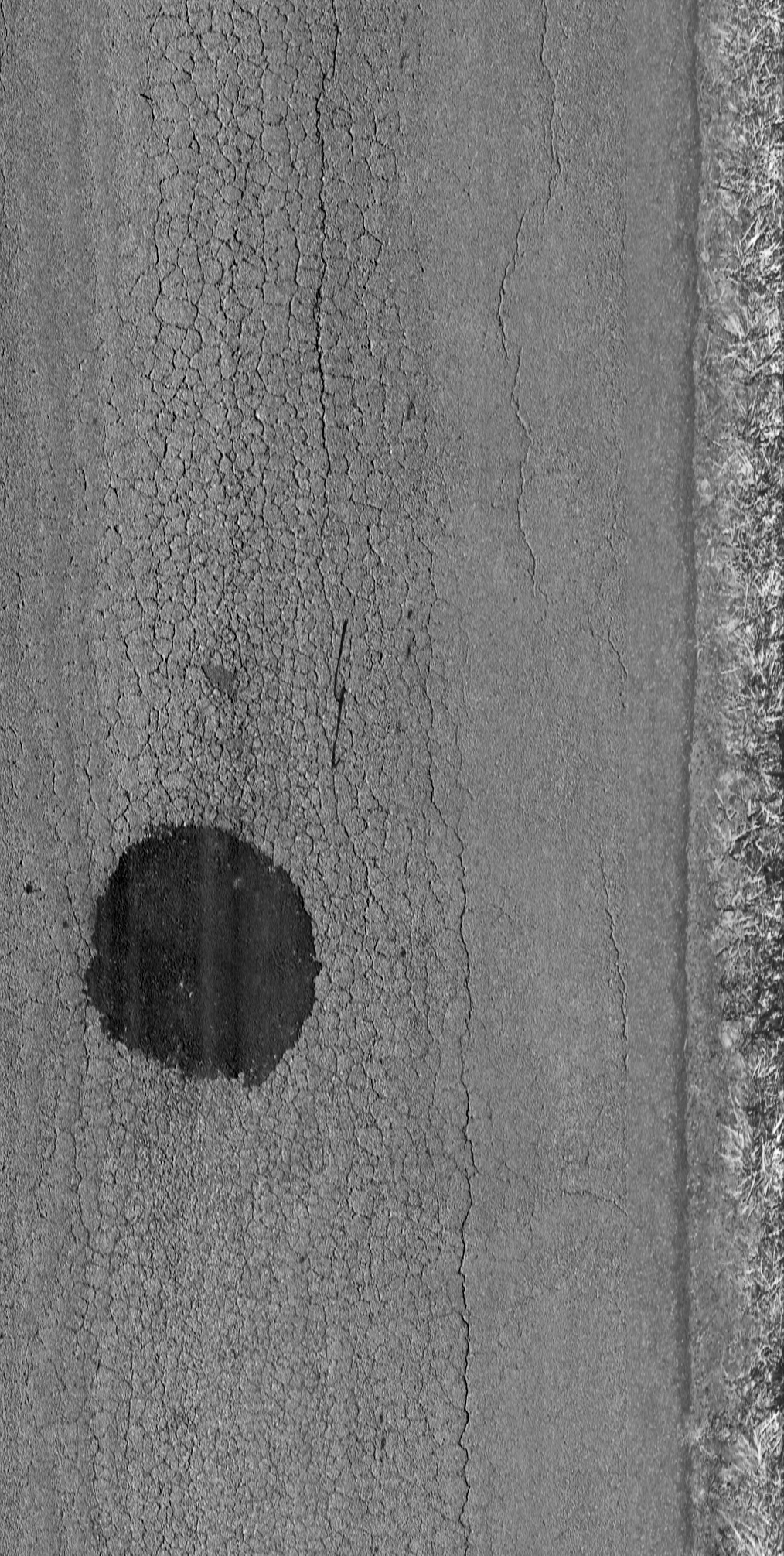 test Object Detection Dataset by saca