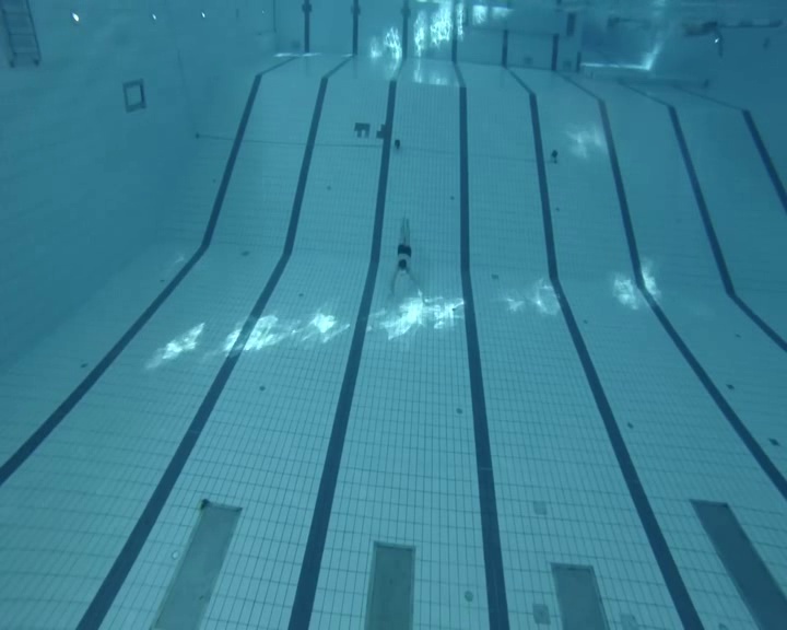 Under Water Object Detection Object Detection Dataset By Naresh Krishnan