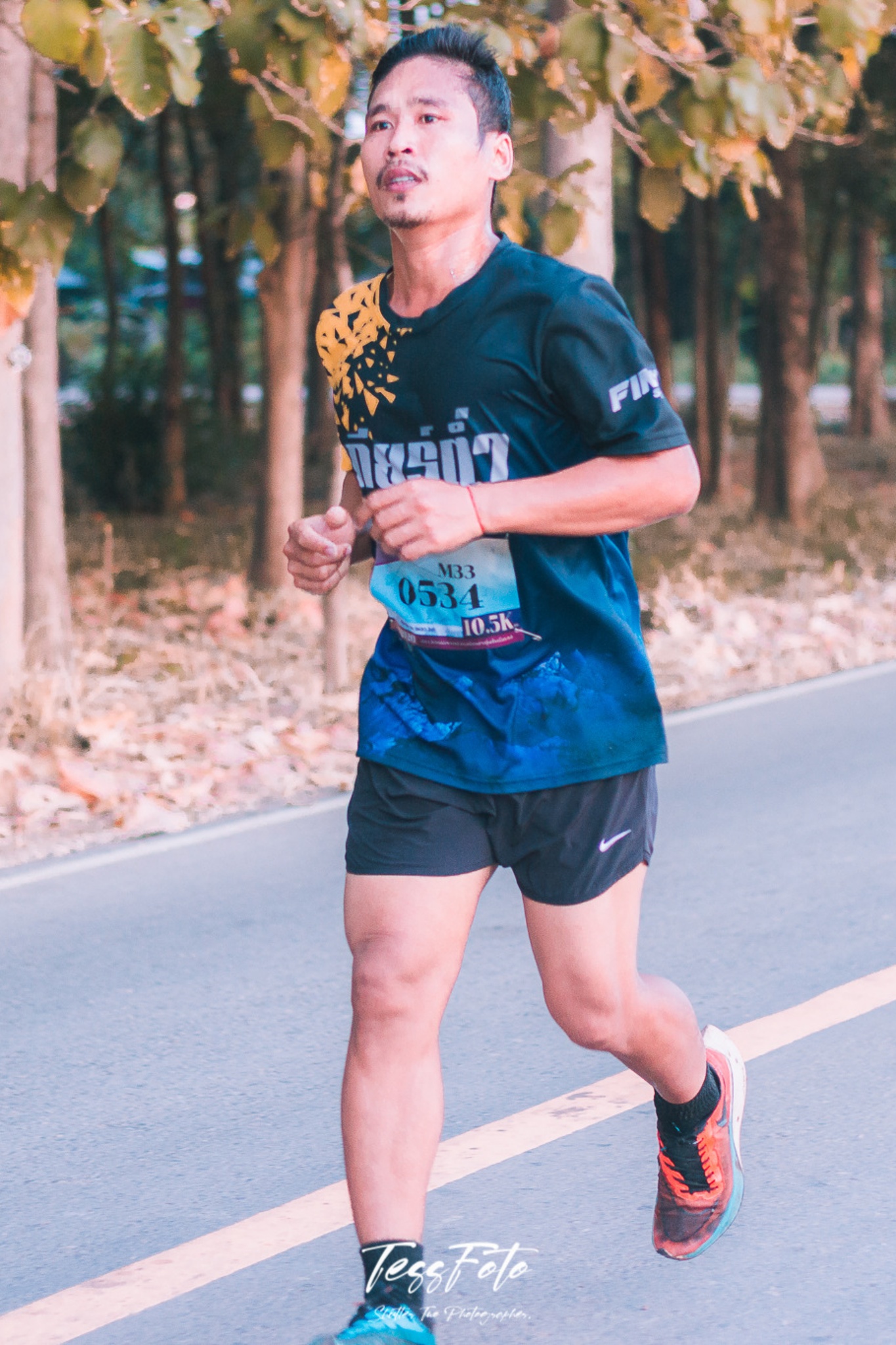 Phongsakhon Tongcham Roboflow Universe