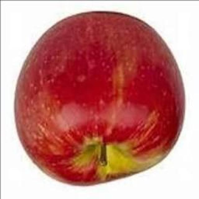 apple Object Detection Model by xu chen