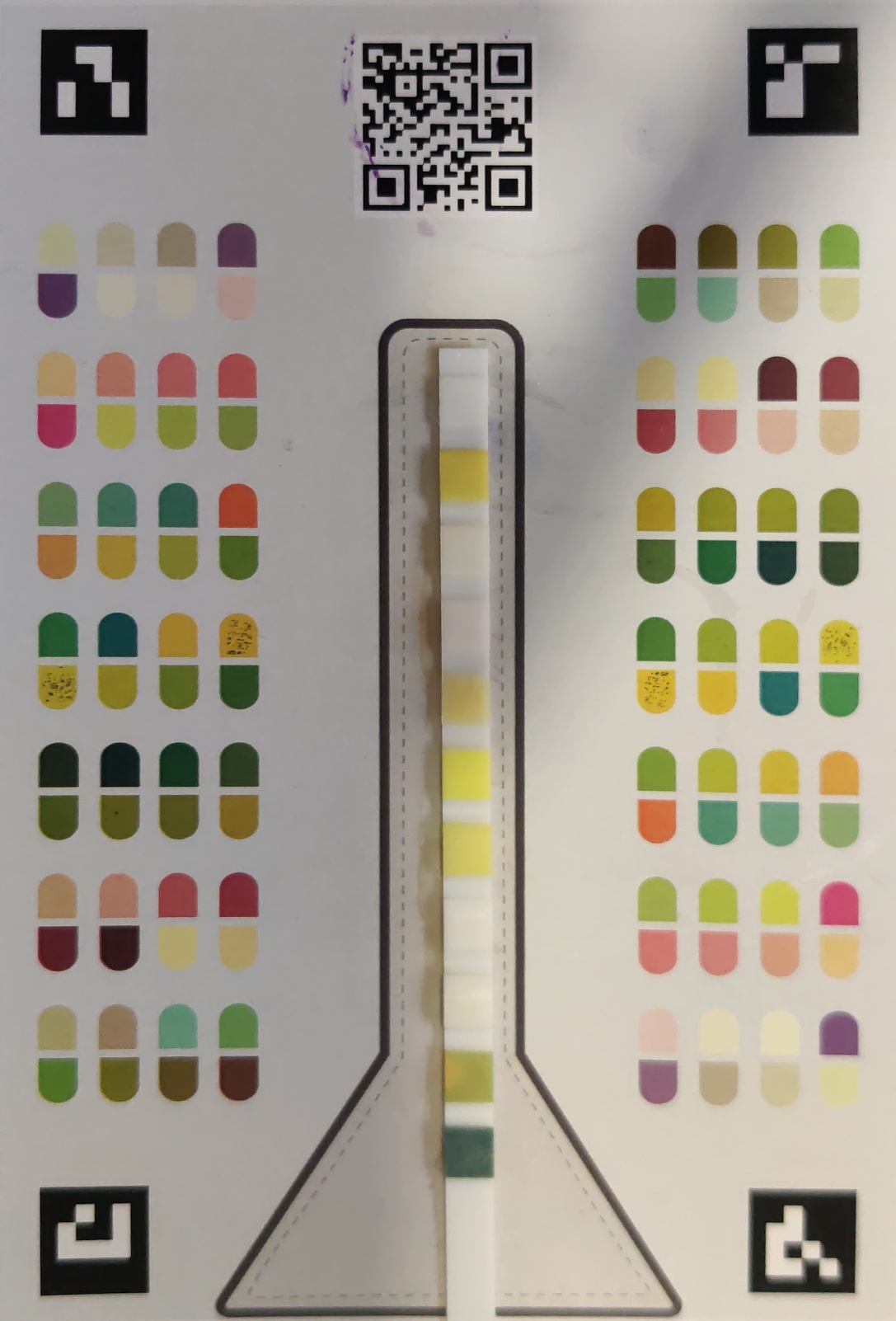 urine_card Instance Segmentation Dataset by testing