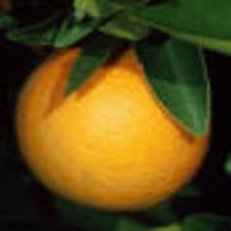 Intra-Class Detection 1 Object Detection Dataset by Plastic Defect