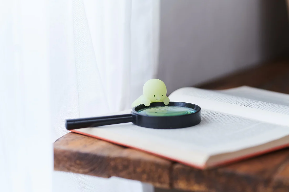 My First Project Object Detection Dataset and Pre-Trained Model by chi