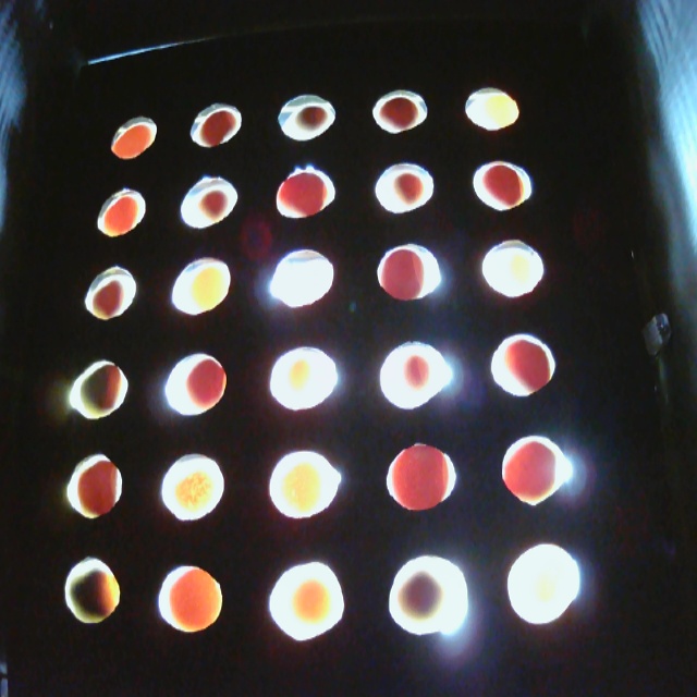 egg Object Detection Dataset and Pre-Trained Model by workspace