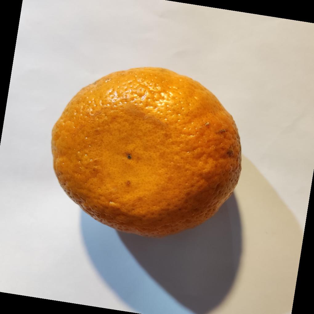 Fruits Object Detection Dataset V2 2025 01 20 3 30pm By Fruits