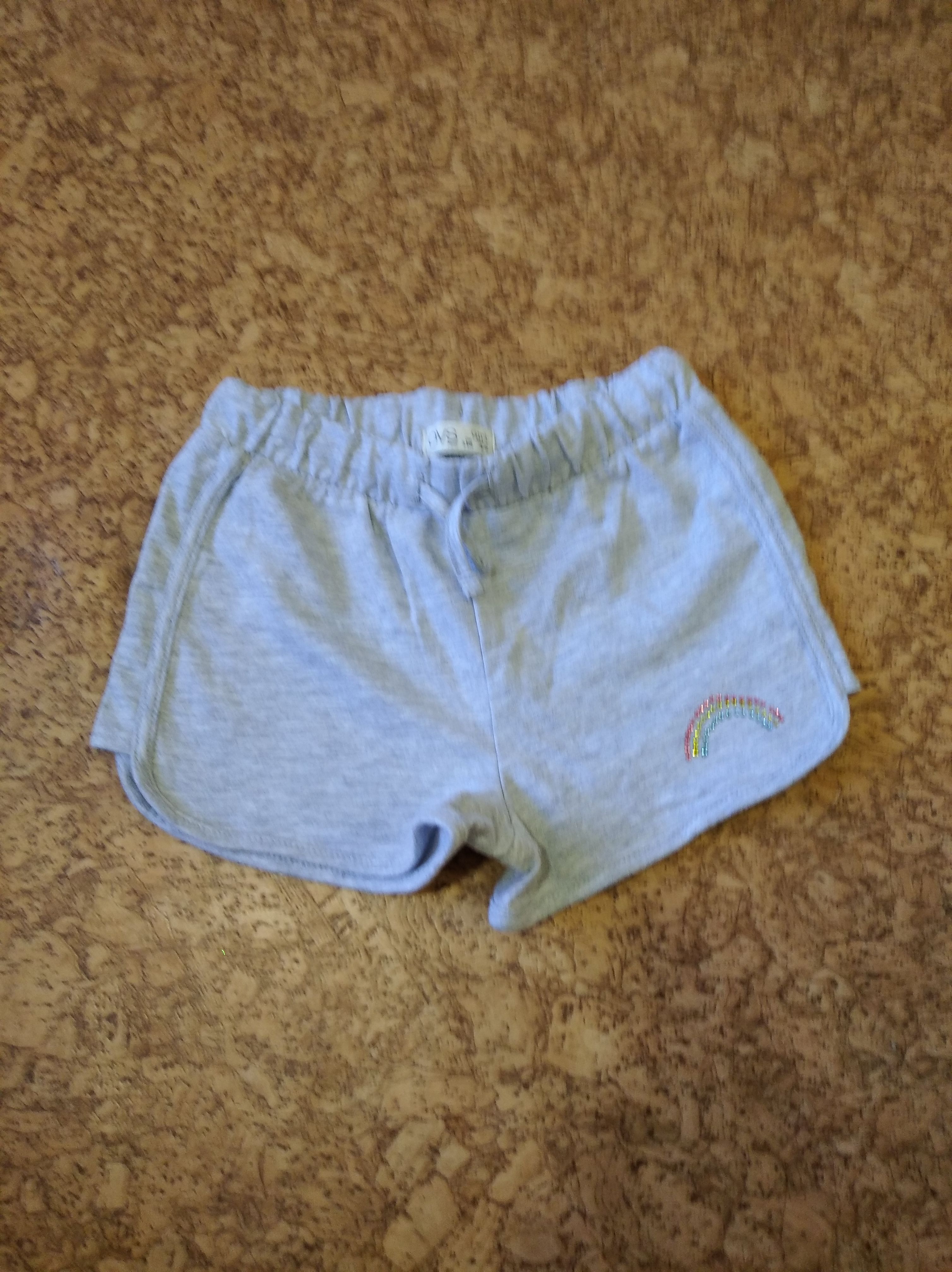 morph Instance Segmentation Dataset and Pre-Trained Model by ooo