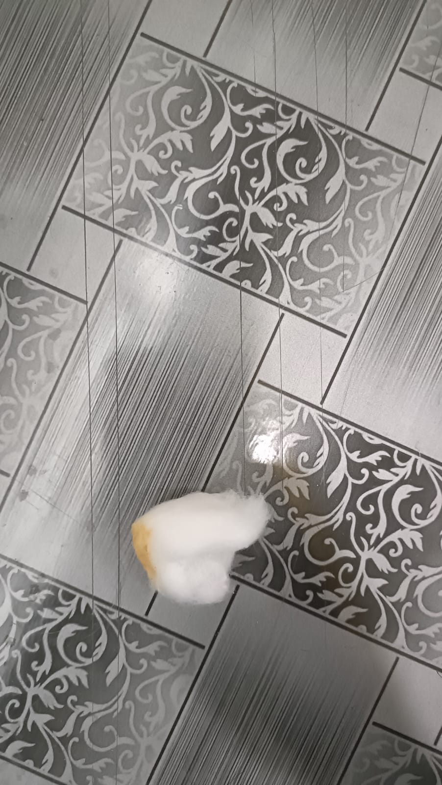 waste detection ps Object Detection Dataset and Pre-Trained Model by Anjali Dulam