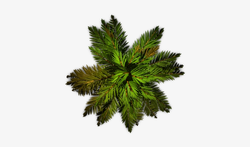 Trree Object Detection Dataset By Keerthana V