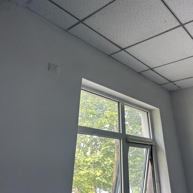 window增强 Instance Segmentation Dataset by wping