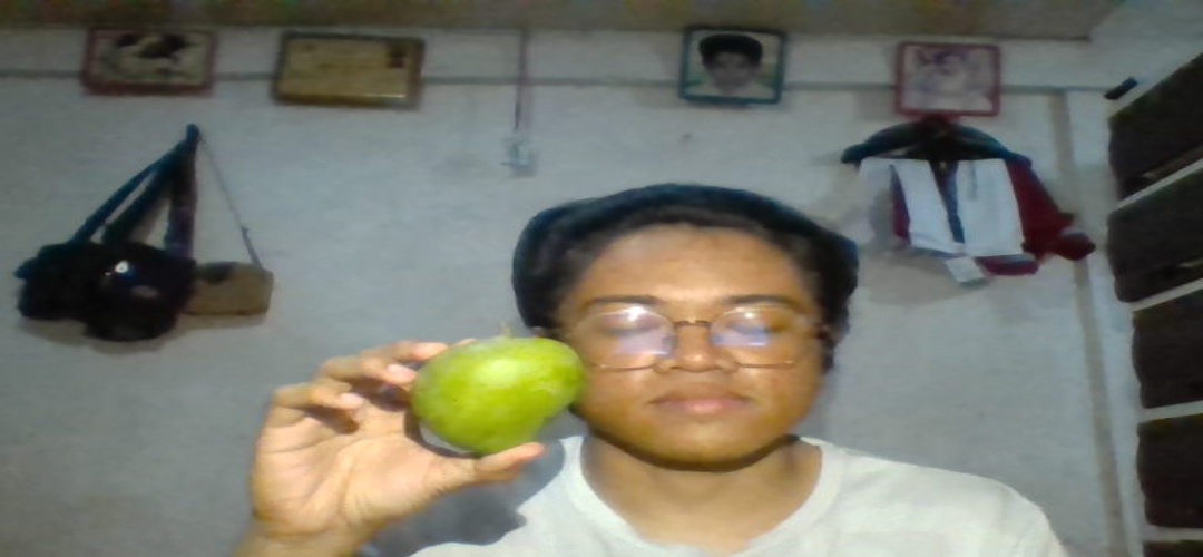 Mango Detection Instance Segmentation Dataset V1 2024 05 08 7 14pm