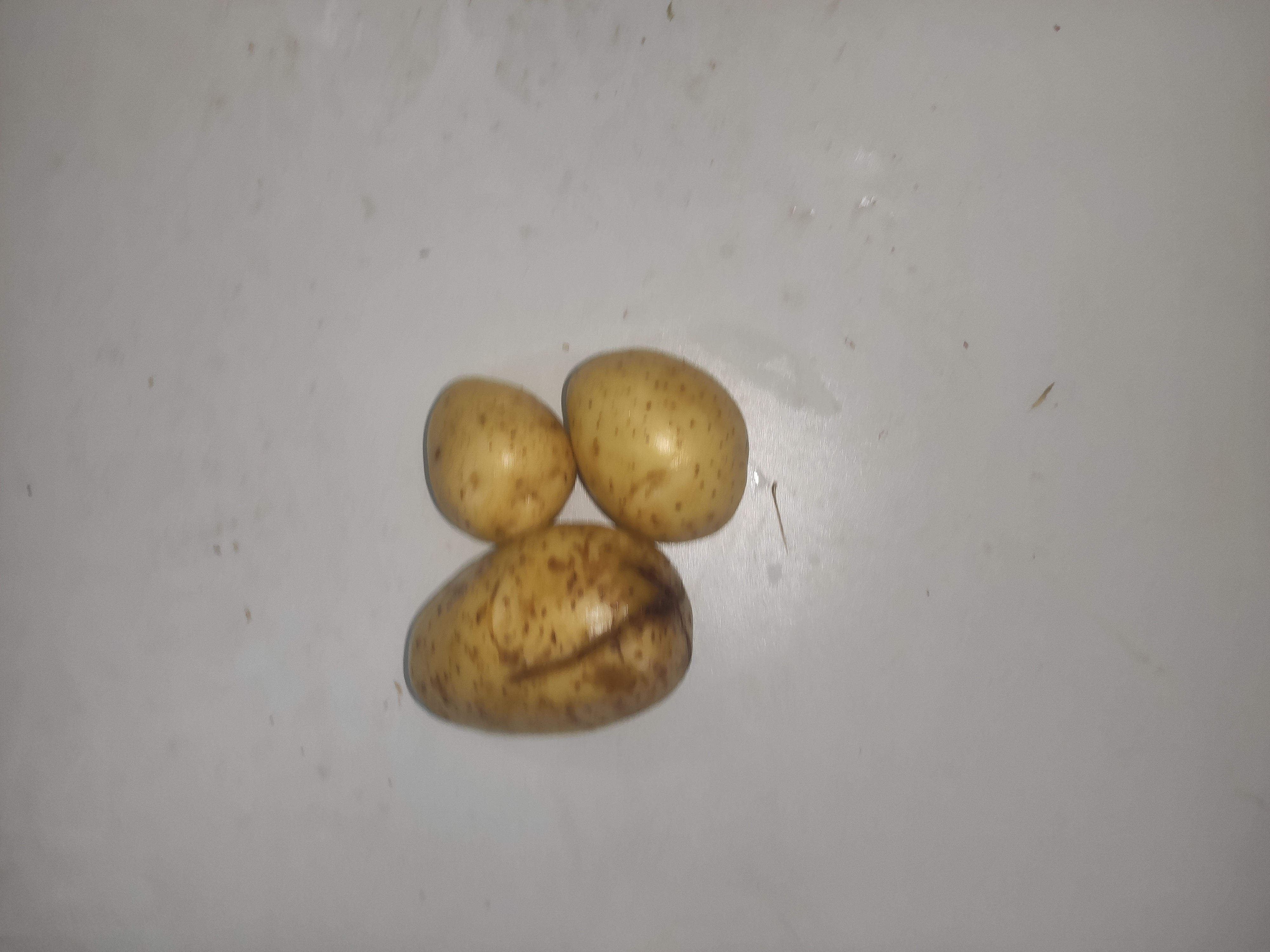 potato Object Detection Model by 123